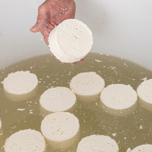 What Is Cheese Buldak? » AGAH Productions