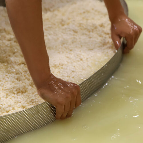 What Is Jadel Cheese? » AGAH Productions